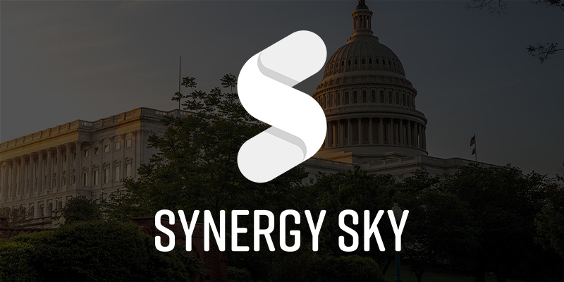 Public Sector | Synergy SKY